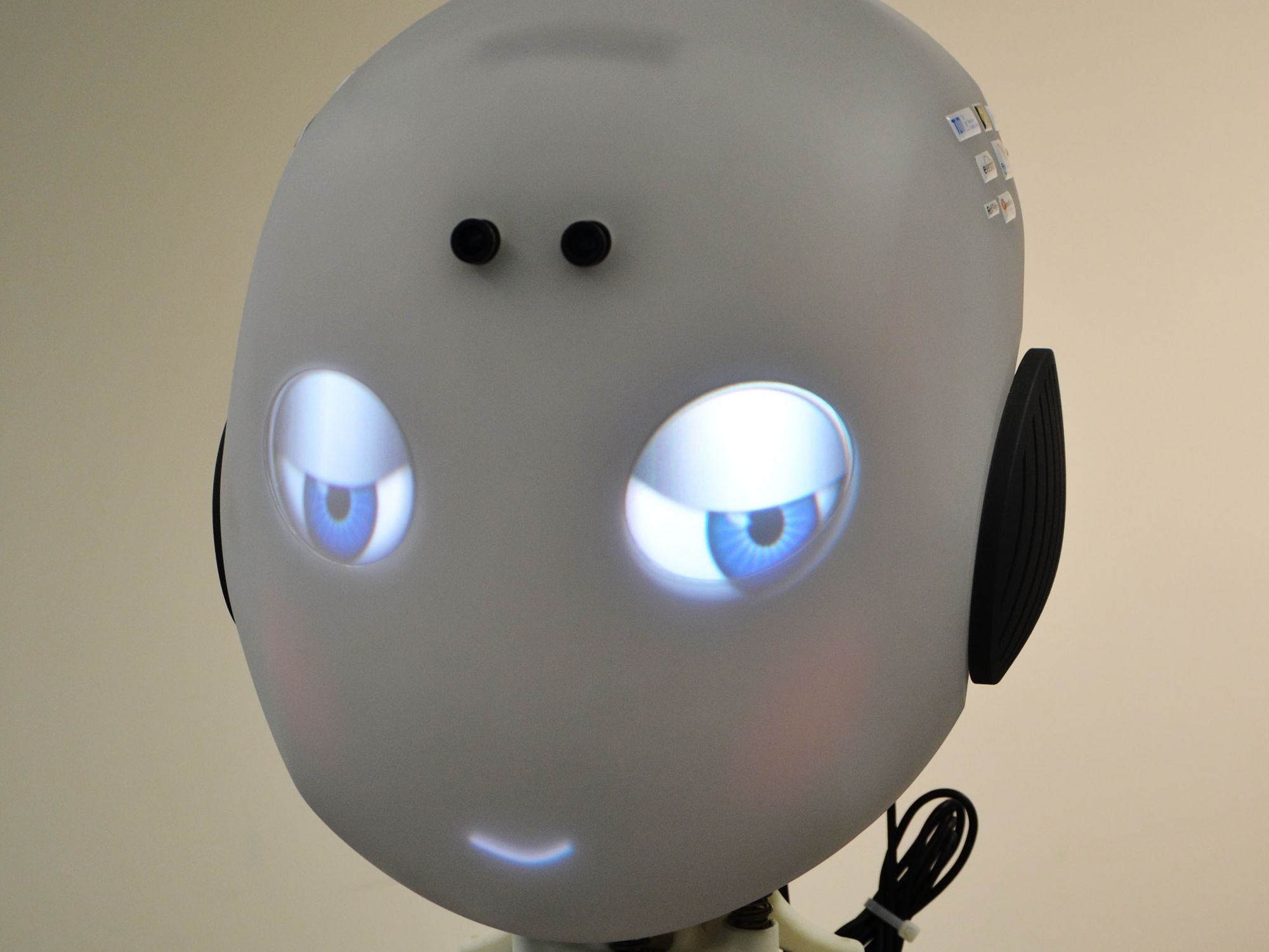 Roboy - ROBOTS: Your Guide to the World of Robotics