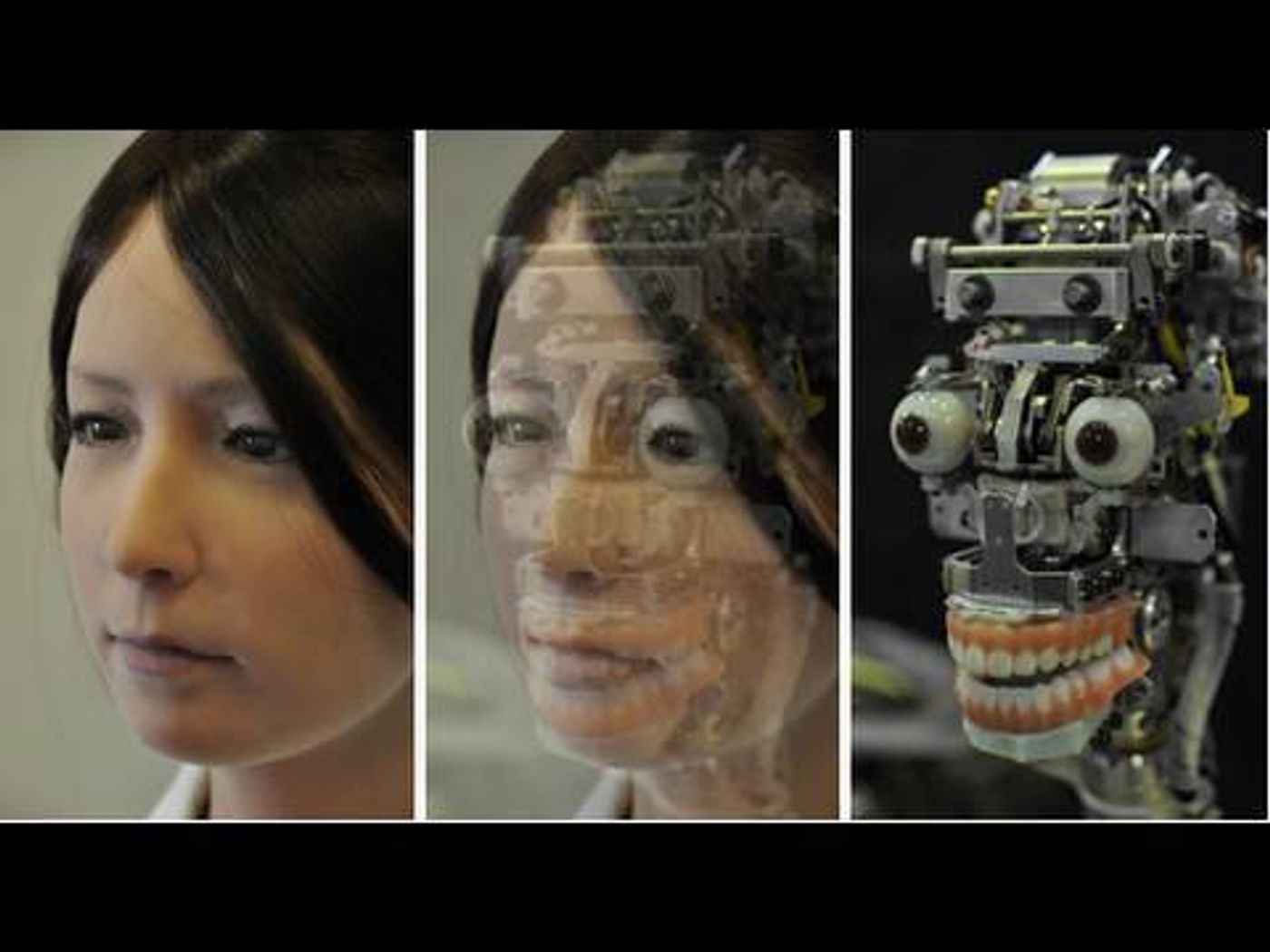 Geminoid F - ROBOTS: Your Guide to the World of Robotics