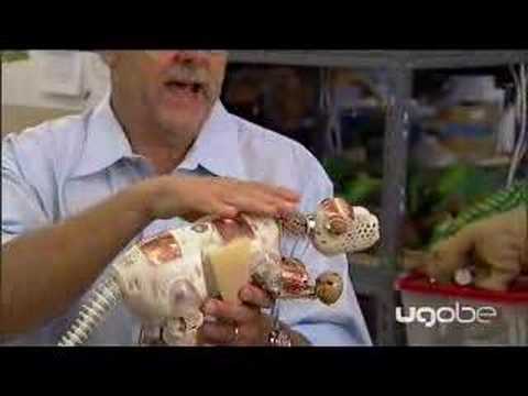 Pleo - ROBOTS: Your Guide to the World of Robotics