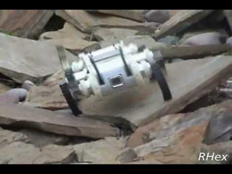 RHex - ROBOTS: Your Guide to the World of Robotics