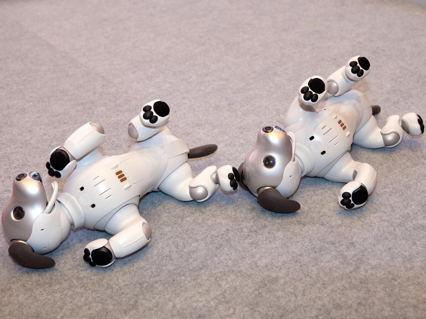 Aibo - ROBOTS: Your Guide to the World of Robotics
