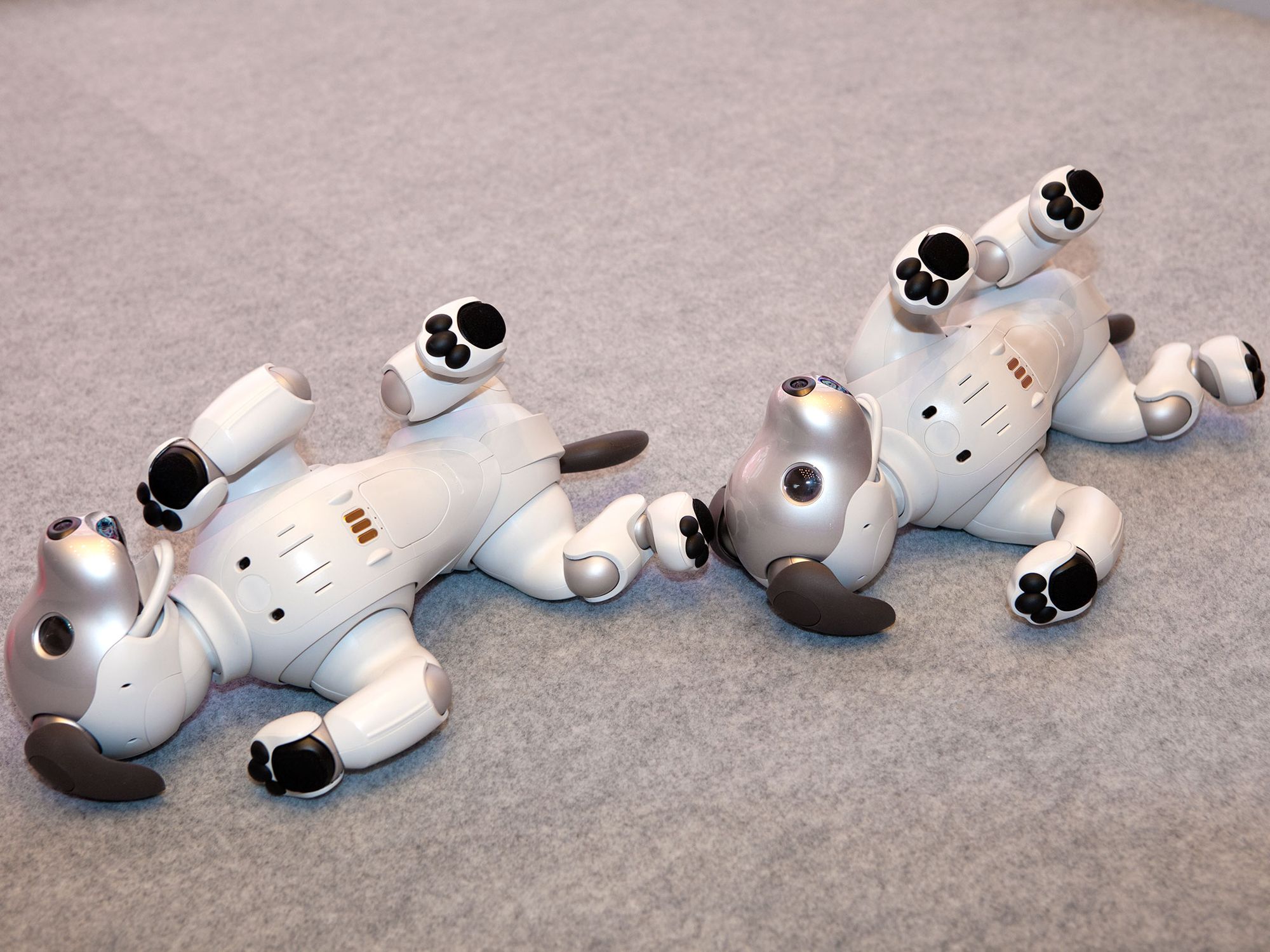 Aibo - ROBOTS: Your Guide to the World of Robotics