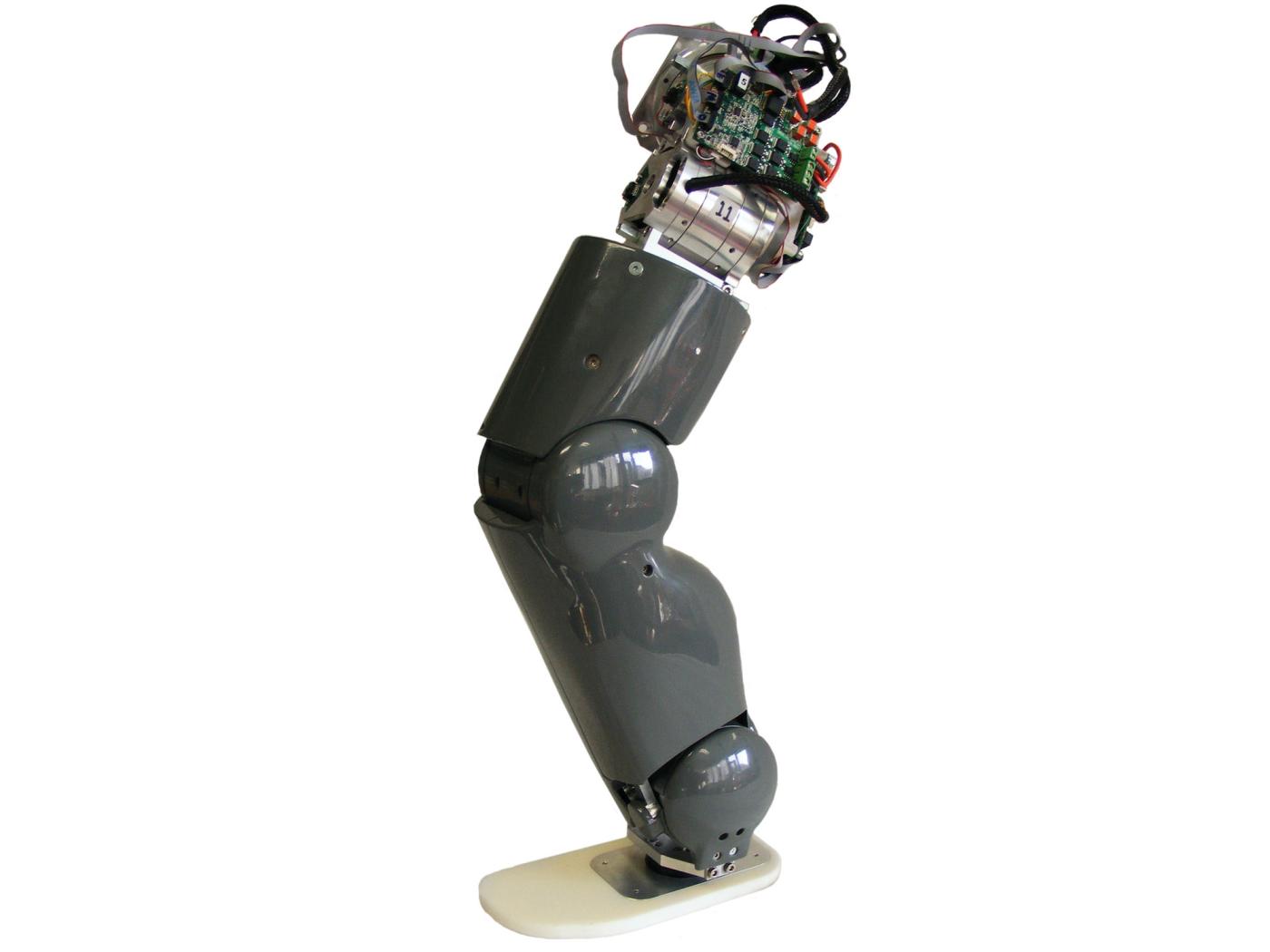COMAN - ROBOTS: Your Guide to the World of Robotics