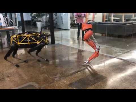 Cassie - ROBOTS: Your Guide to the World of Robotics