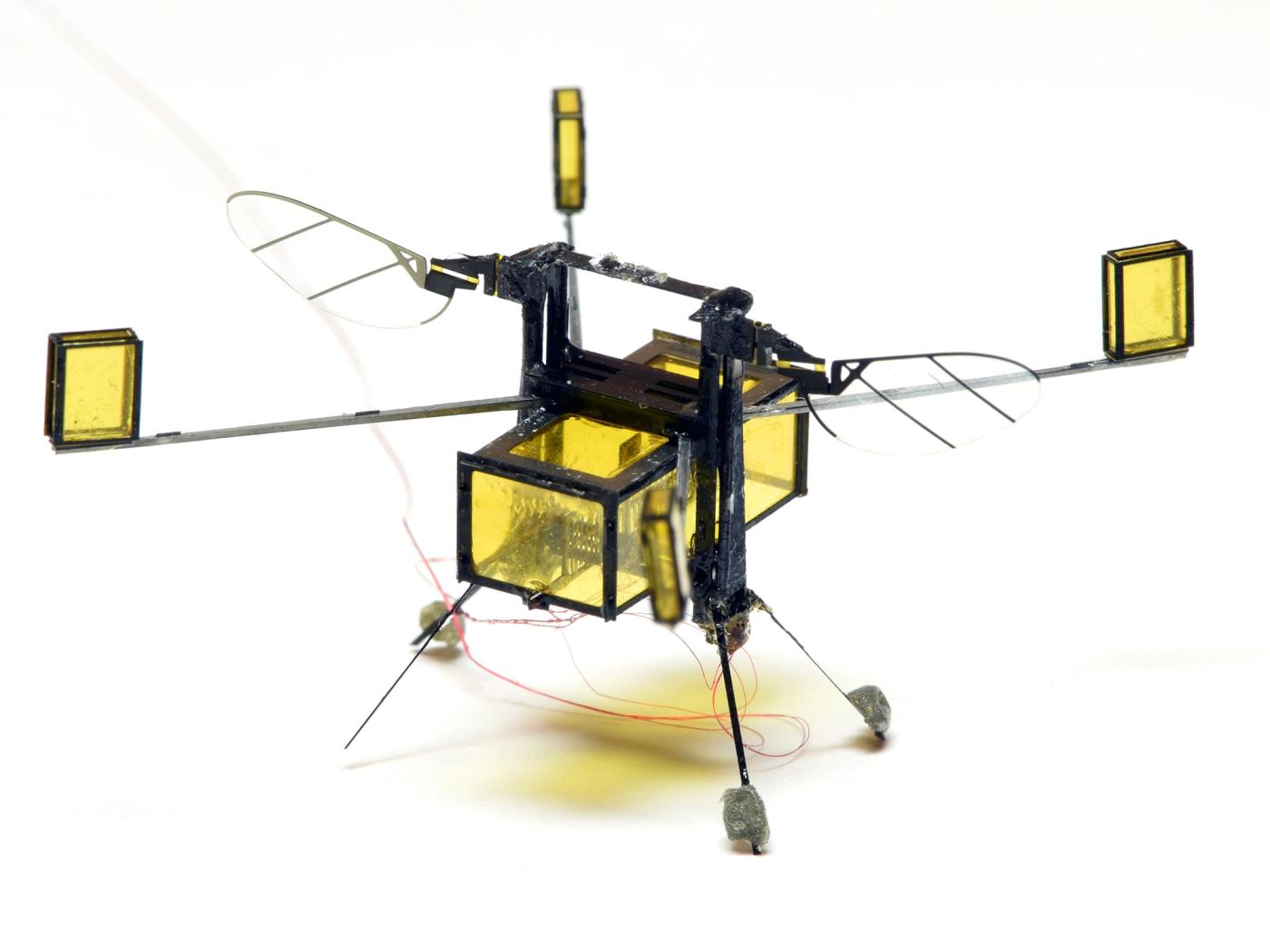 RoboBee - ROBOTS: Your Guide to the World of Robotics