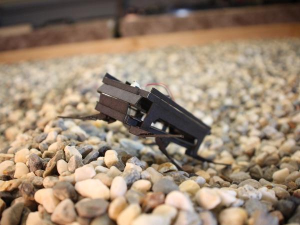 DASH - ROBOTS: Your Guide to the World of Robotics