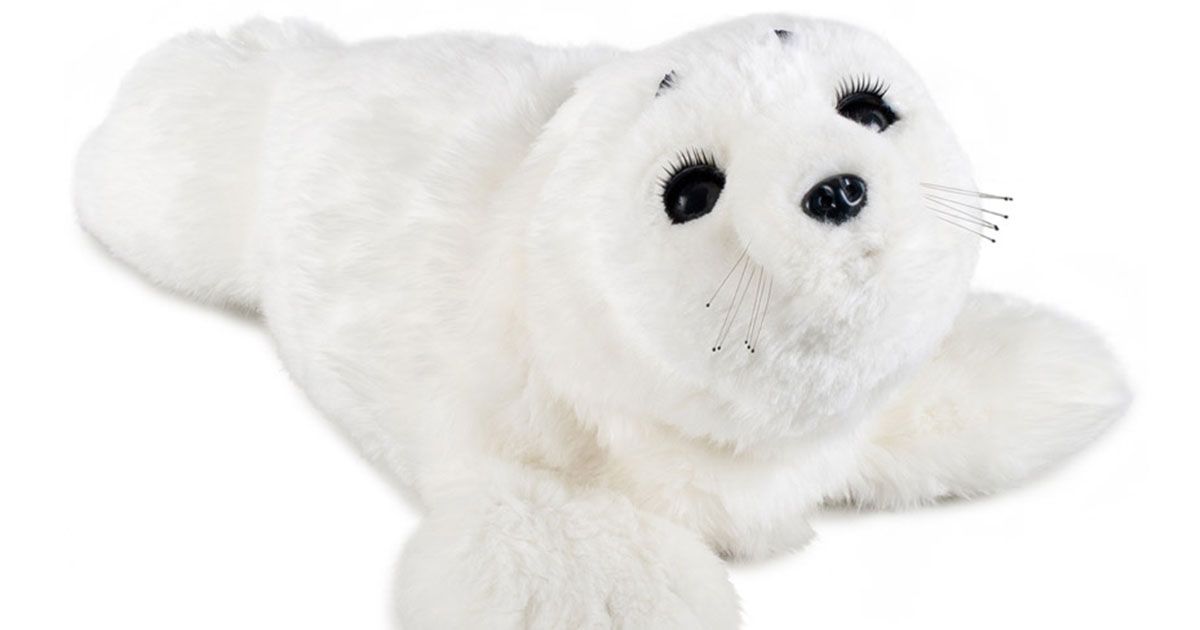 Paro - ROBOTS: Your Guide to the World of Robotics