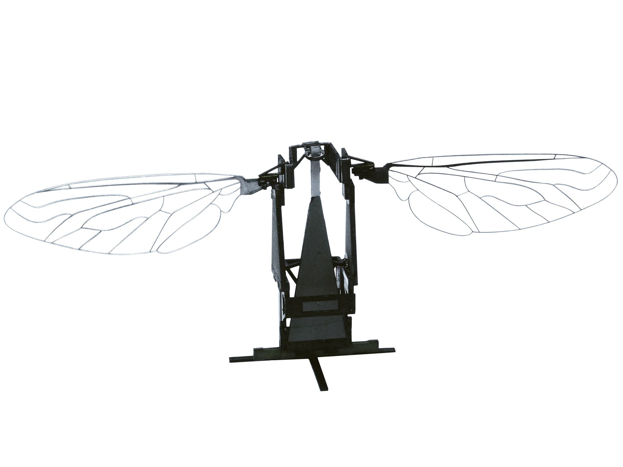 RoboBee - ROBOTS: Your Guide to the World of Robotics