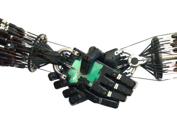 Shadow Hand - ROBOTS: Your Guide to the World of Robotics