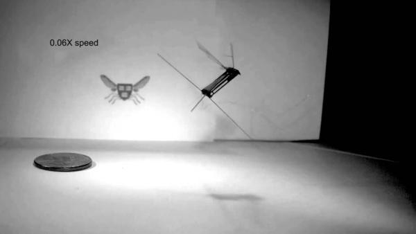 RoboBee - ROBOTS: Your Guide to the World of Robotics