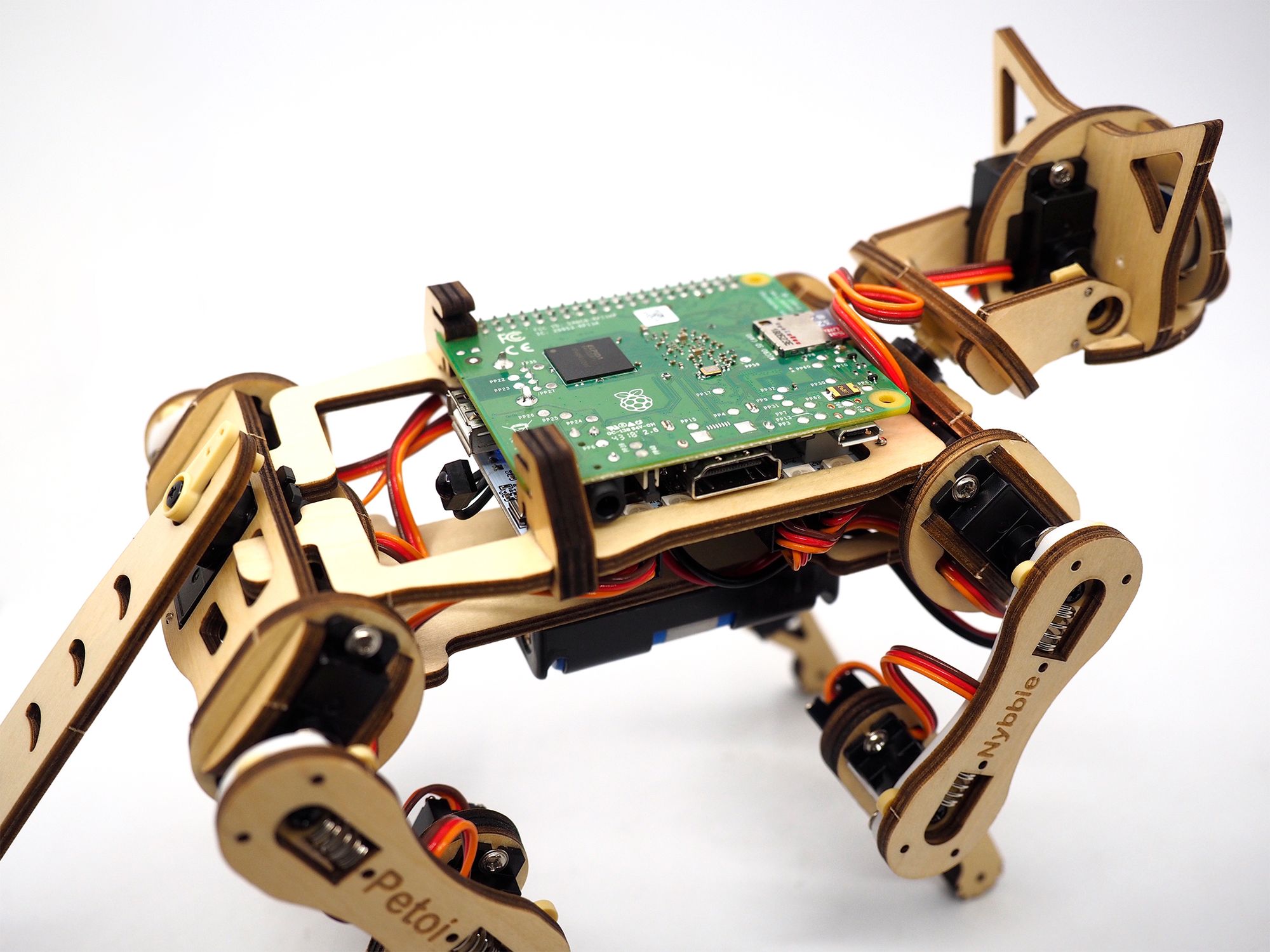 Nybble - ROBOTS: Your Guide to the World of Robotics