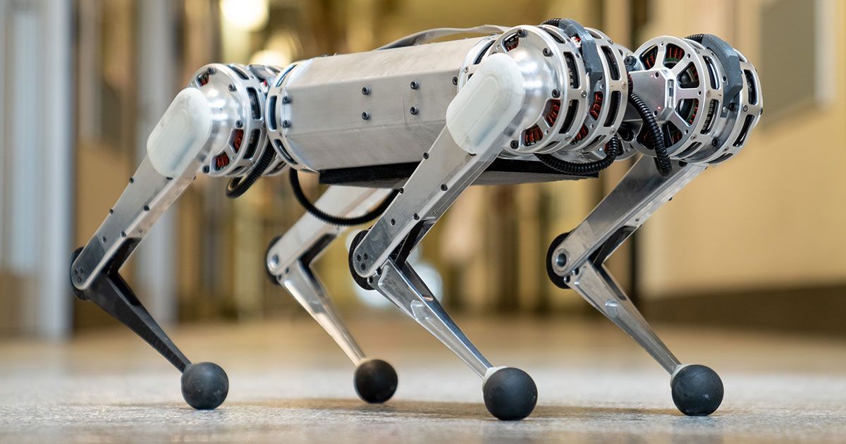 Mini Cheetah - ROBOTS: Your Guide to the World of Robotics