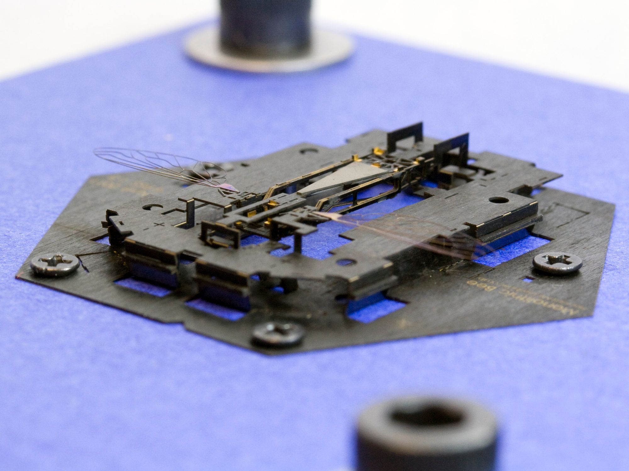 RoboBee - ROBOTS: Your Guide to the World of Robotics