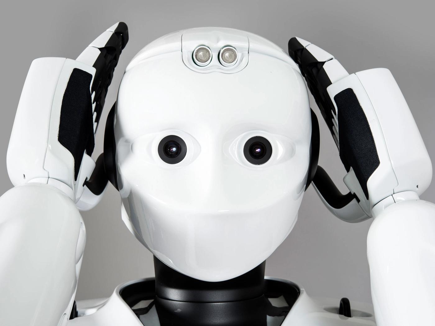 REEM-C - ROBOTS: Your Guide to the World of Robotics
