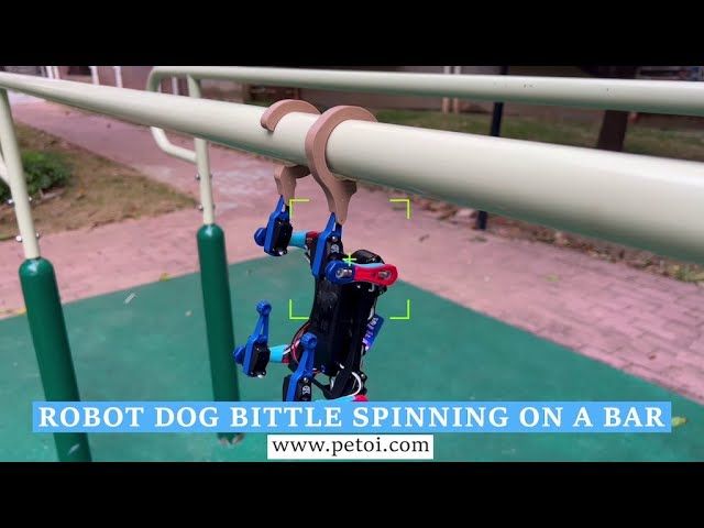 Bittle - ROBOTS: Your Guide to the World of Robotics