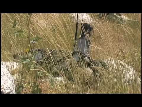 Chaos - ROBOTS: Your Guide to the World of Robotics