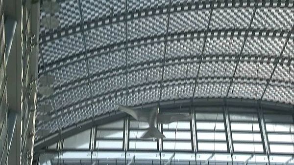 SmartBird - ROBOTS: Your Guide to the World of Robotics