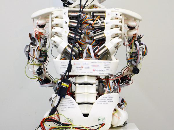 Roboy - ROBOTS: Your Guide to the World of Robotics