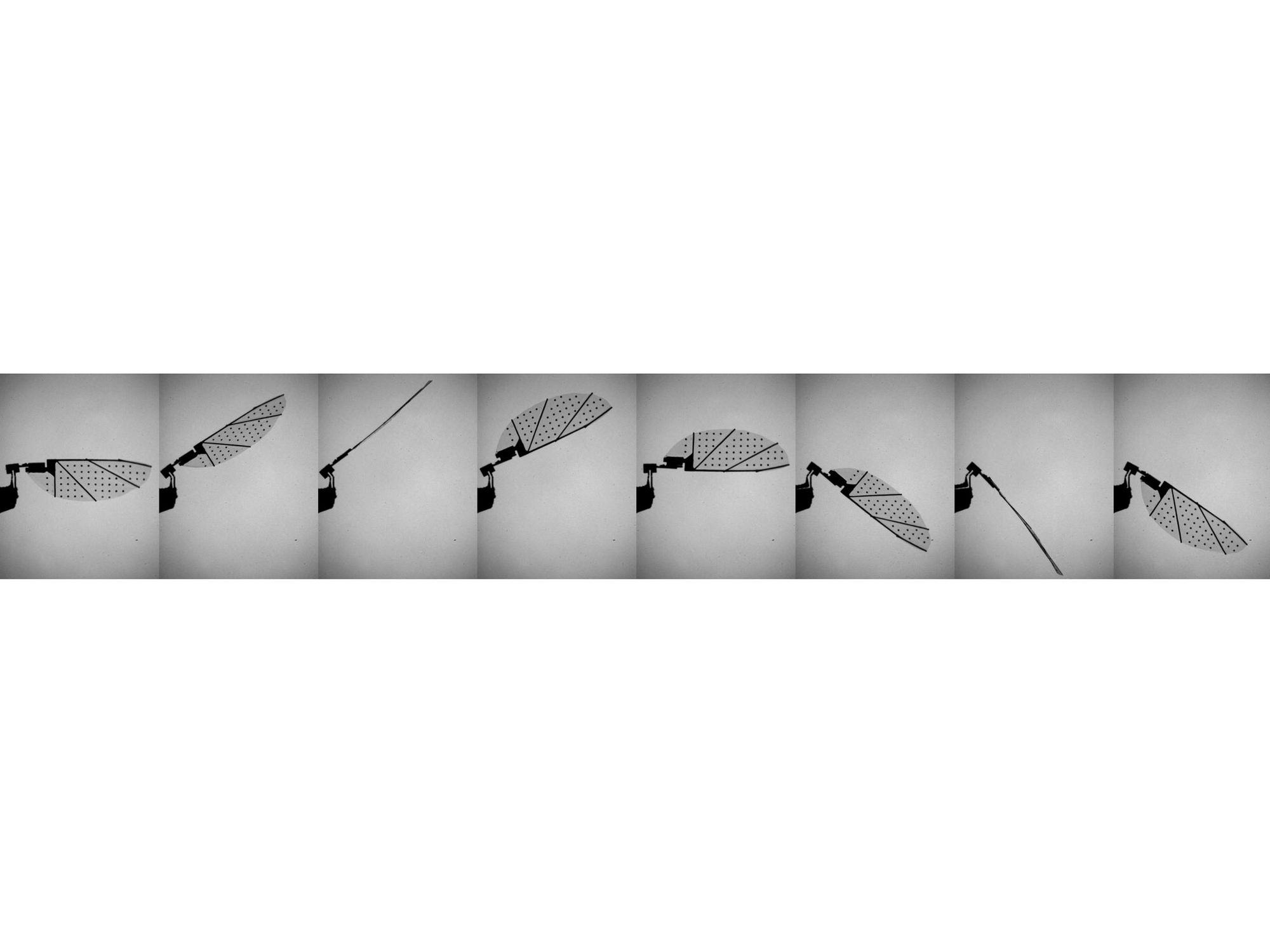 RoboBee - ROBOTS: Your Guide to the World of Robotics