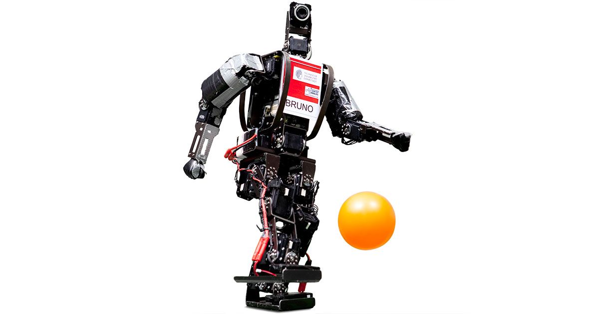Bruno - ROBOTS: Your Guide to the World of Robotics