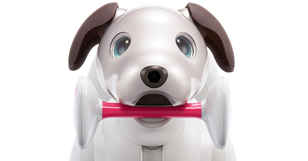 Aibo - ROBOTS: Your Guide to the World of Robotics