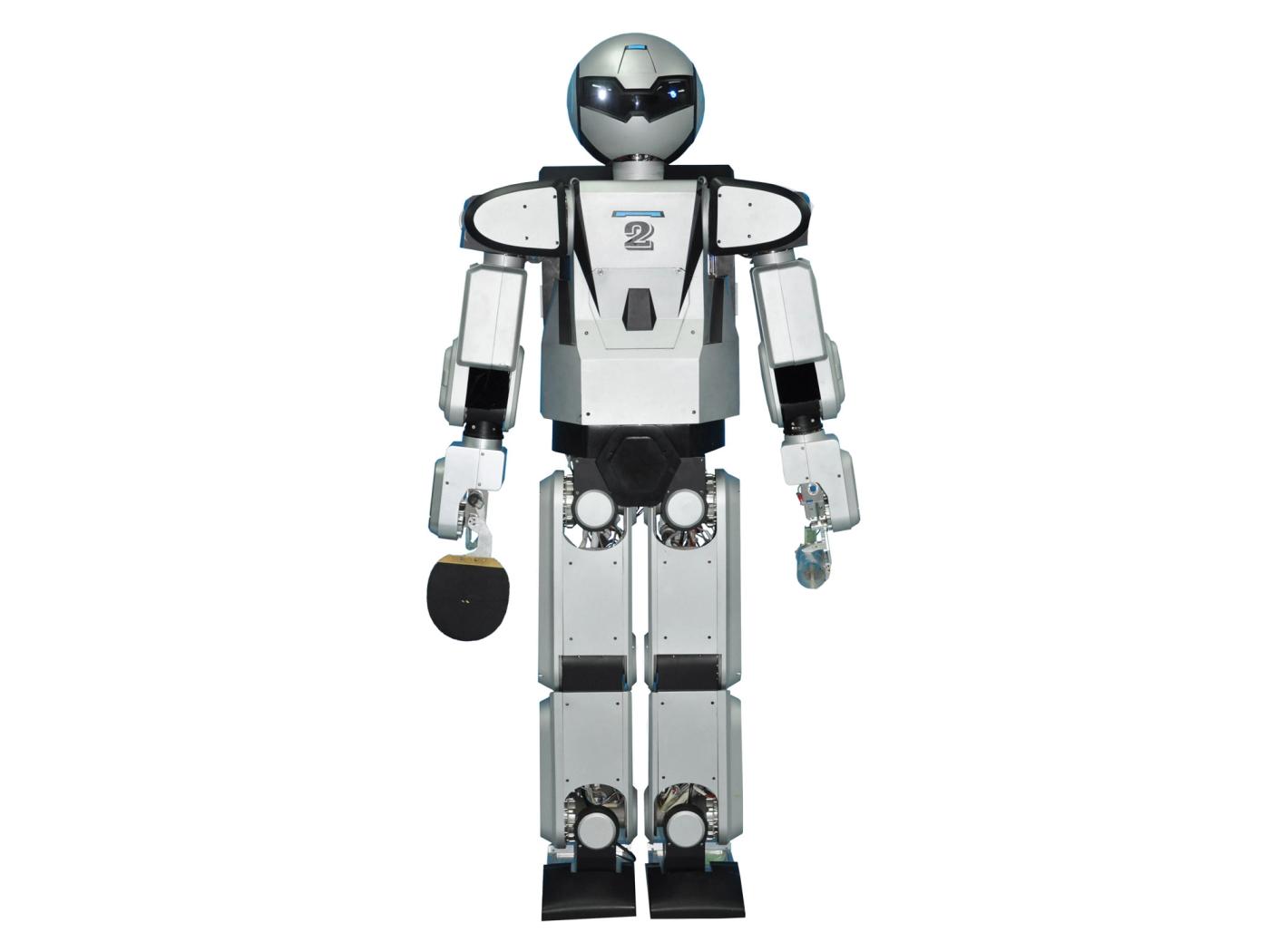 BHR-5 - ROBOTS: Your Guide to the World of Robotics