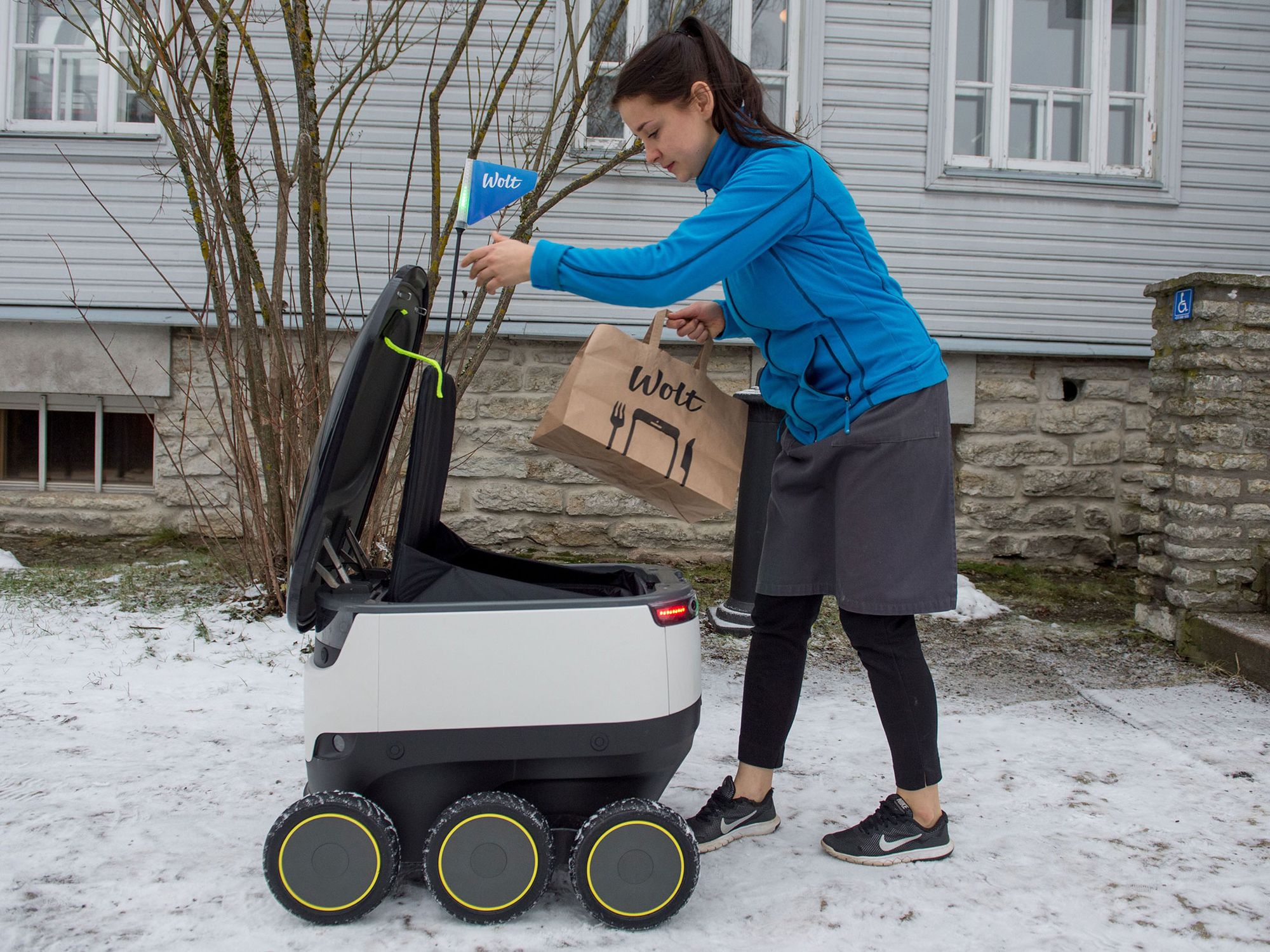 Starship - ROBOTS: Your Guide to the World of Robotics