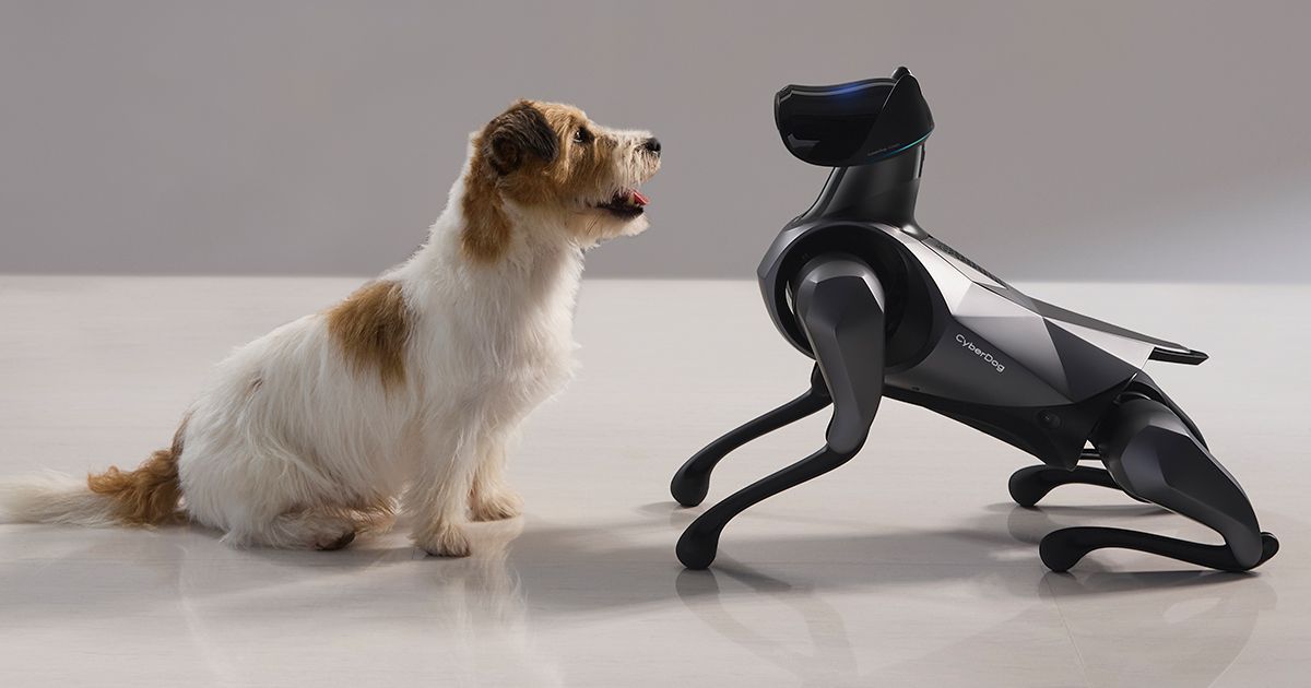 CyberDog 2 - ROBOTS: Your Guide to the World of Robotics