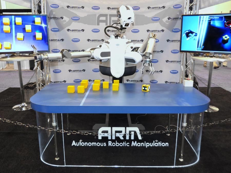 Cog - ROBOTS: Your Guide to the World of Robotics