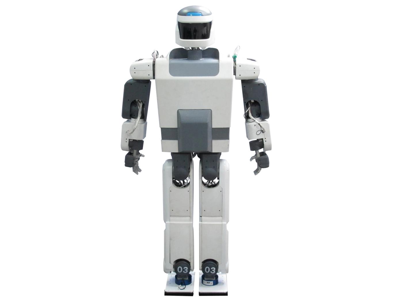 BHR-5 - ROBOTS: Your Guide to the World of Robotics