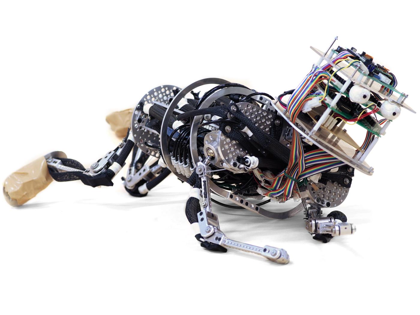 CB2 - ROBOTS: Your Guide to the World of Robotics