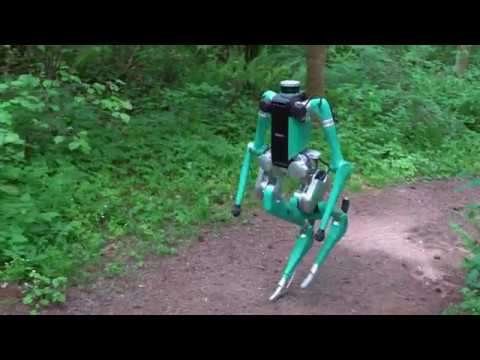 Digit - ROBOTS: Your Guide to the World of Robotics