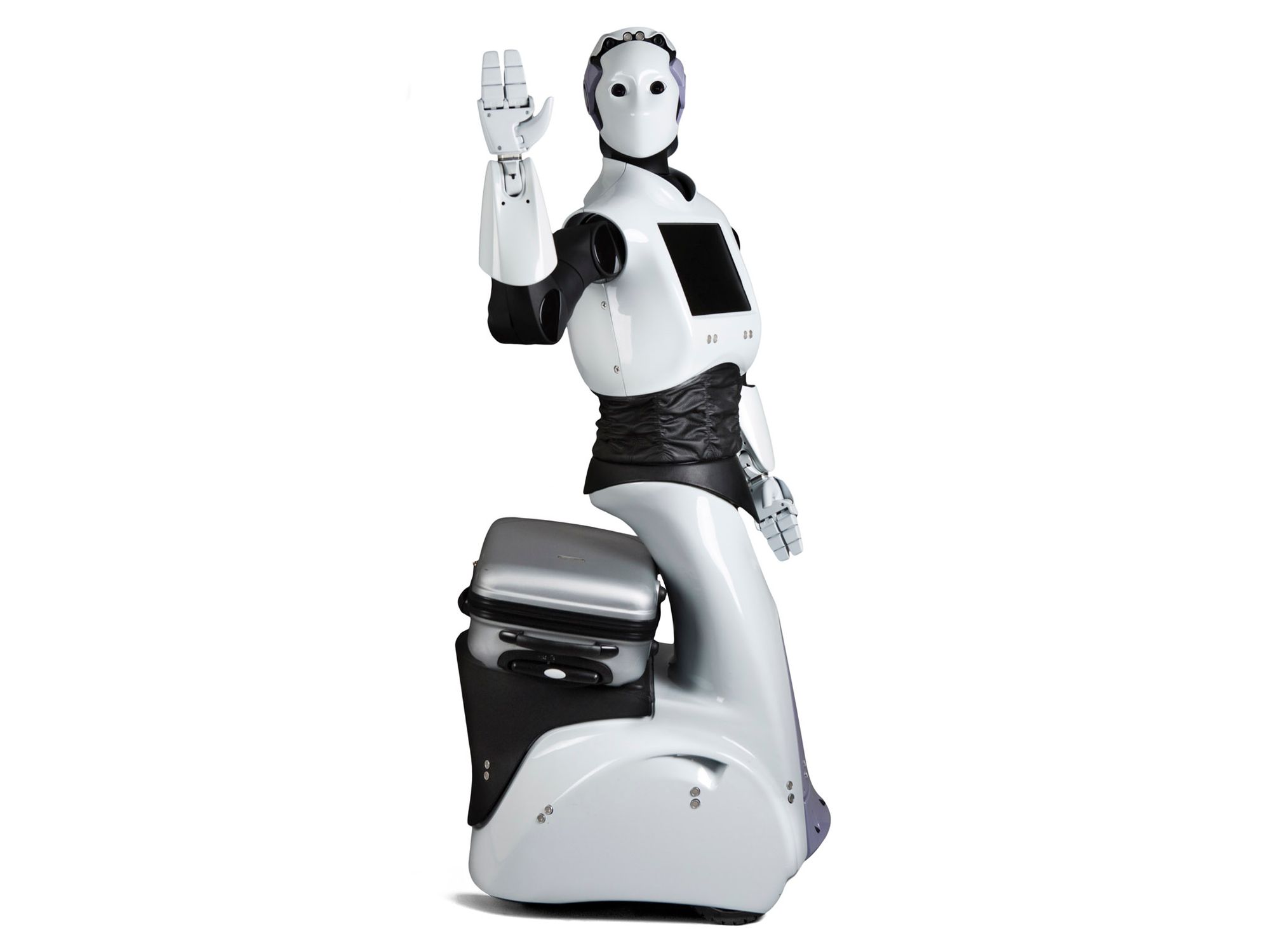 REEM-B - ROBOTS: Your Guide to the World of Robotics