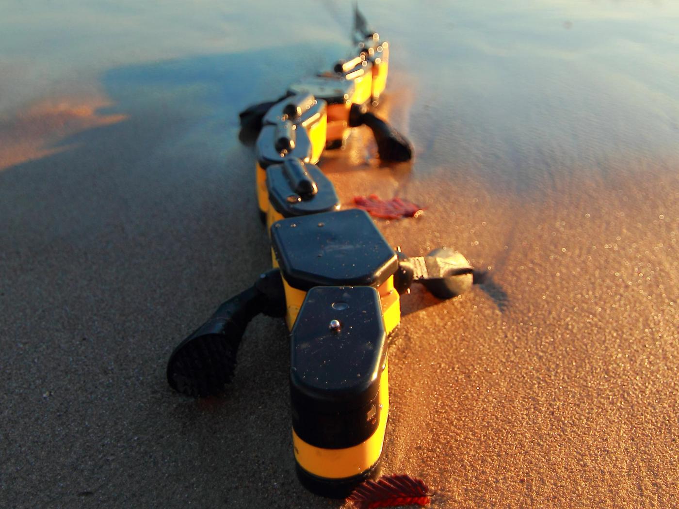 Salamandra robotica II - ROBOTS: Your Guide to the World of Robotics