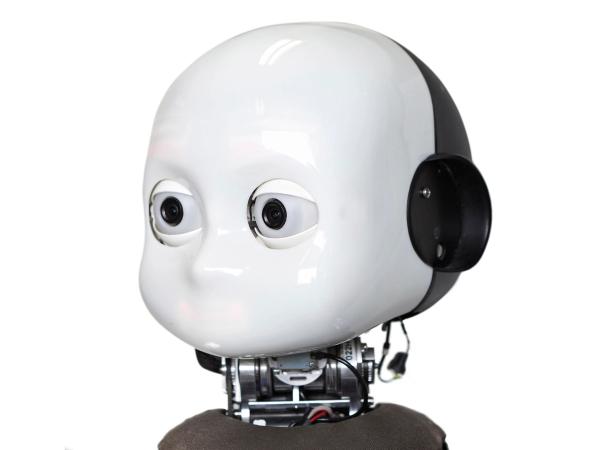 iCub - ROBOTS: Your Guide to the World of Robotics