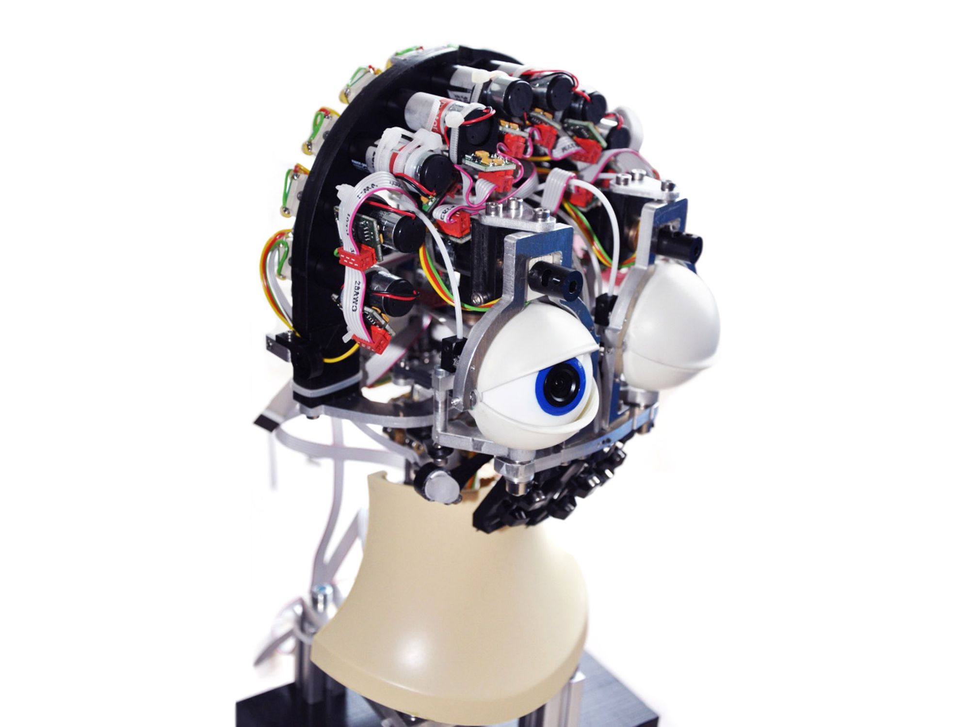 Flobi - ROBOTS: Your Guide to the World of Robotics