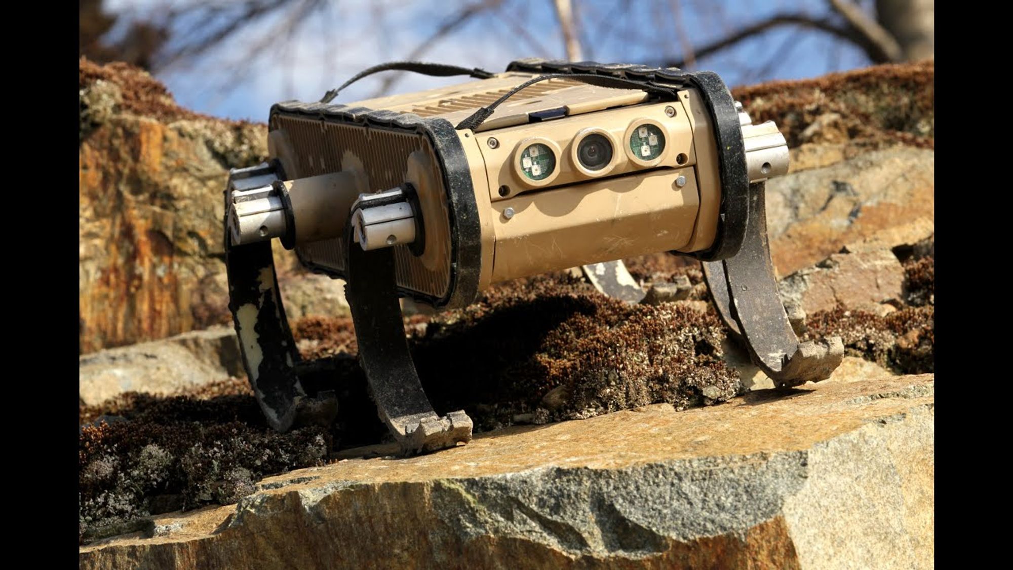 RHex - ROBOTS: Your Guide to the World of Robotics