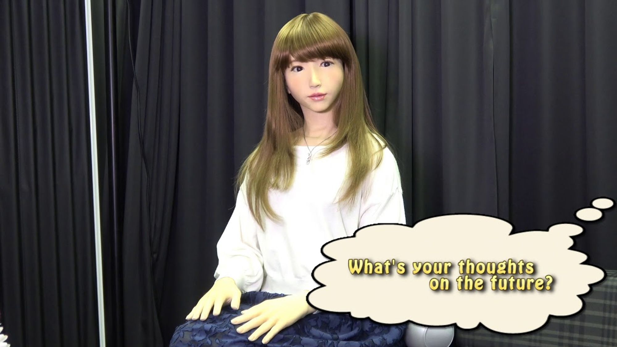 Erica - ROBOTS: Your Guide to the World of Robotics