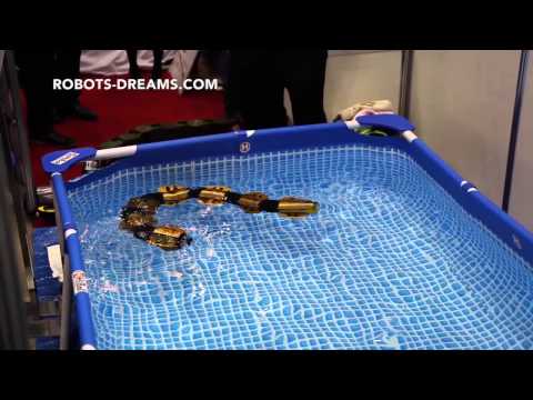 ACM-R5H - ROBOTS: Your Guide to the World of Robotics