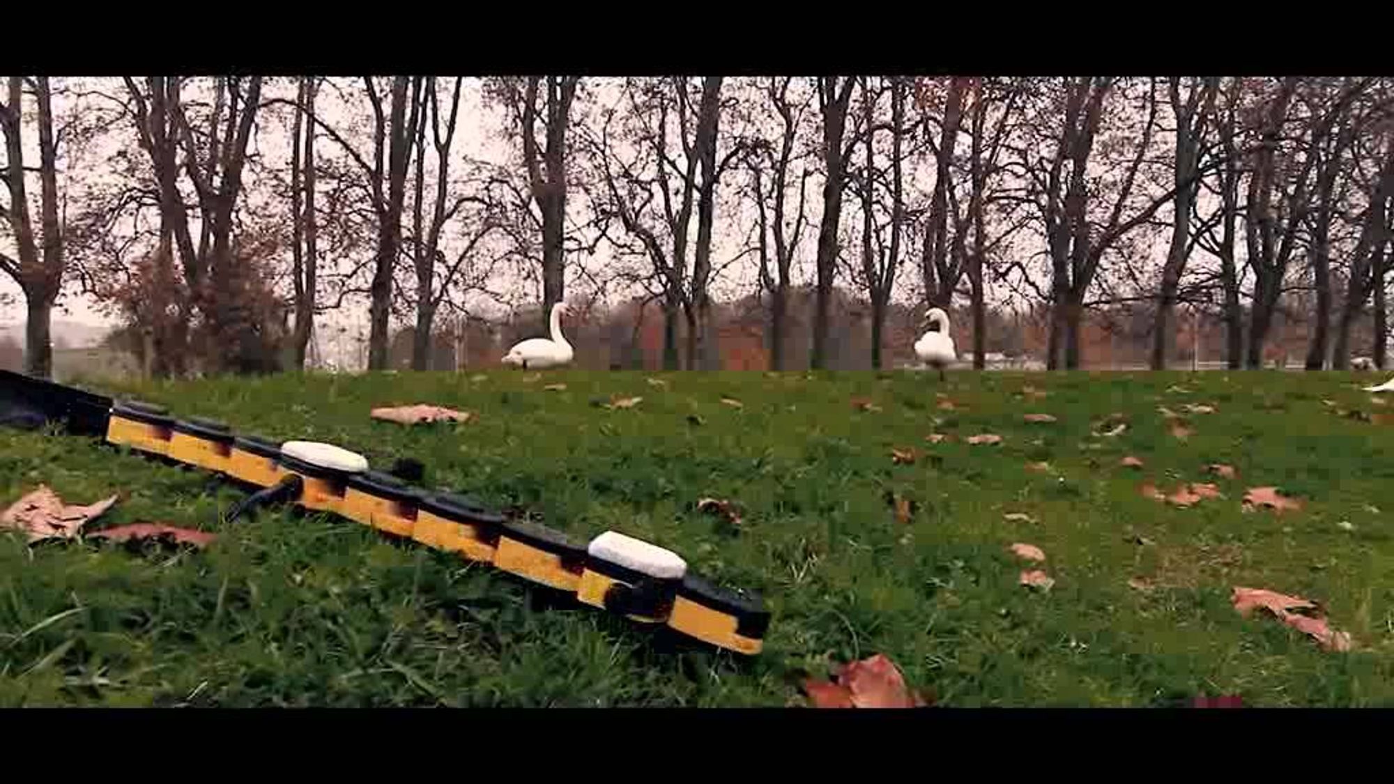 Salamandra robotica II - ROBOTS: Your Guide to the World of Robotics