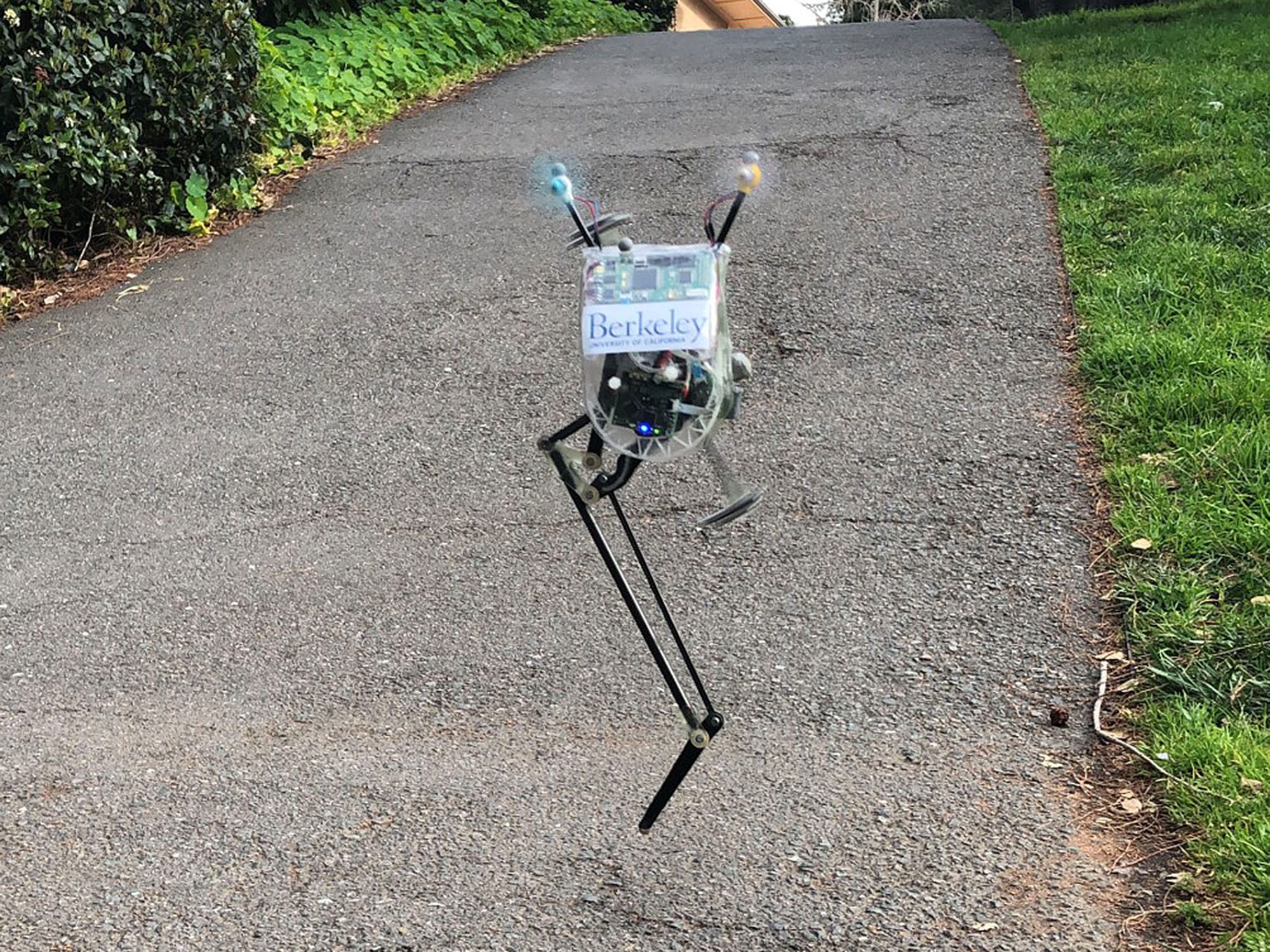 Salto-1P - ROBOTS: Your Guide to the World of Robotics