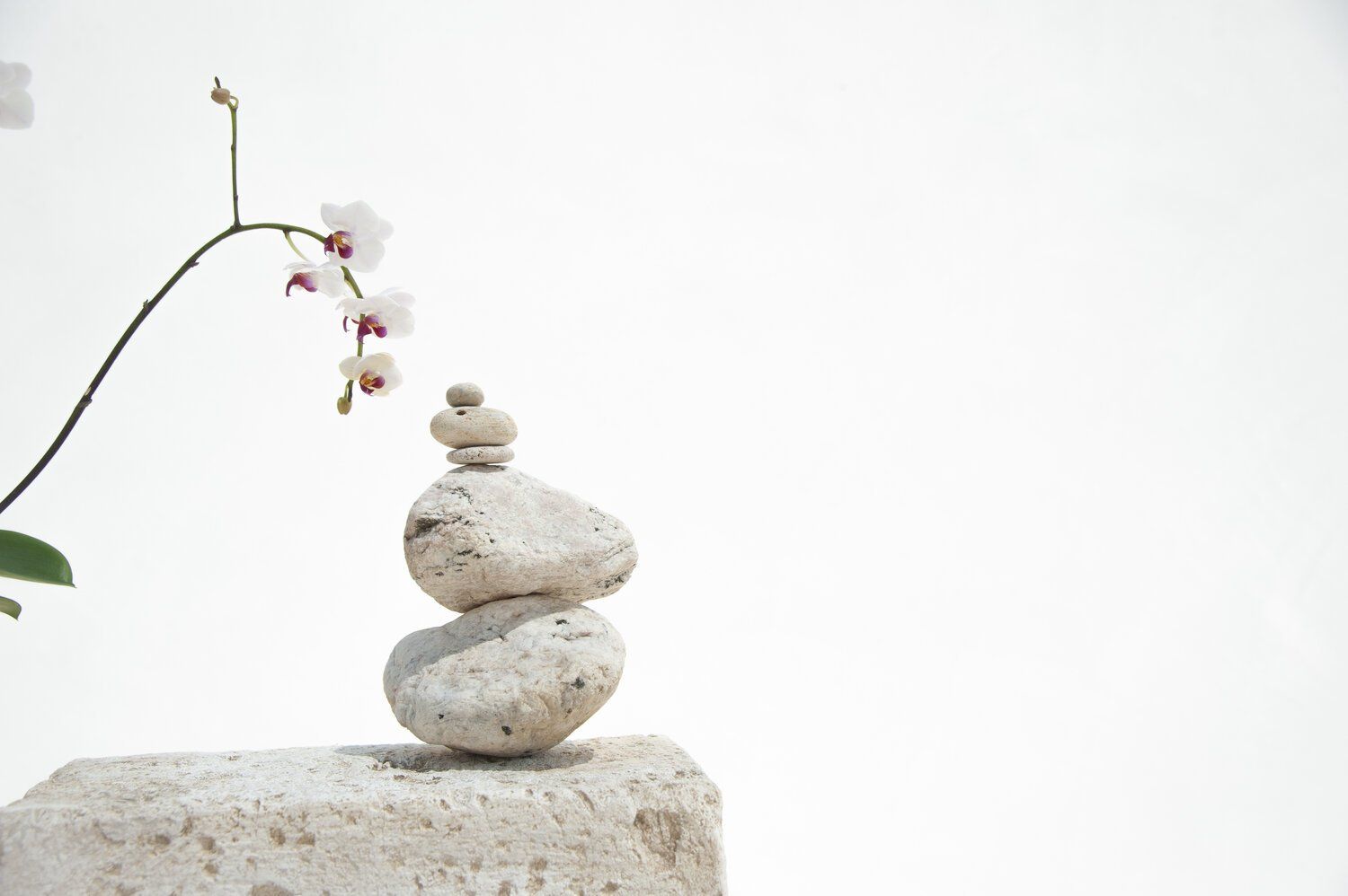 The beauty of simplicity