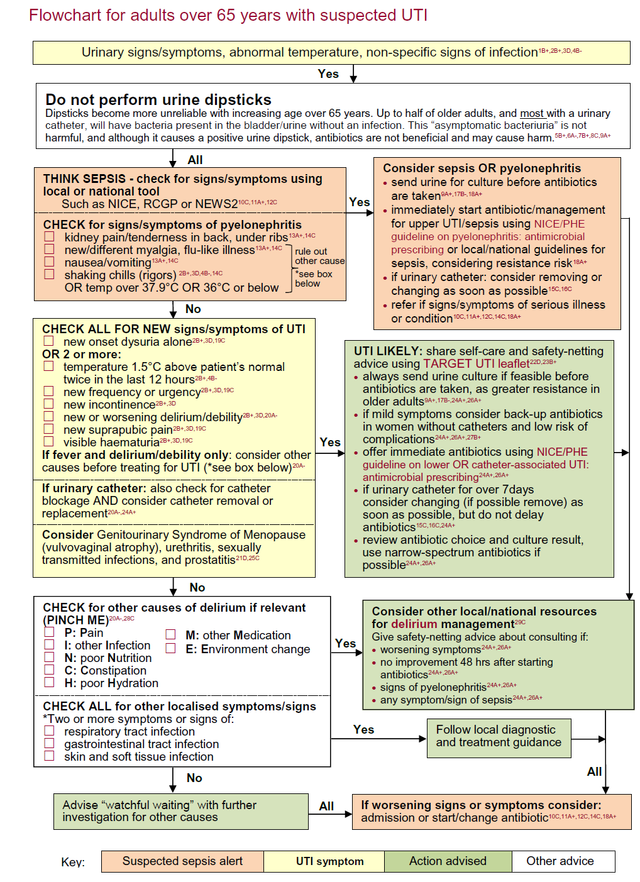 UTI woman over 65 years od – GPnotebook