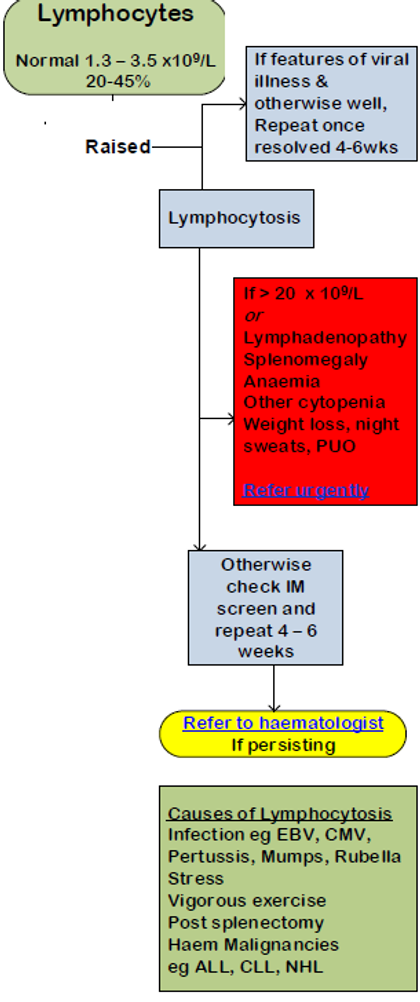High white cell count (lymphocytes) – GPnotebook
