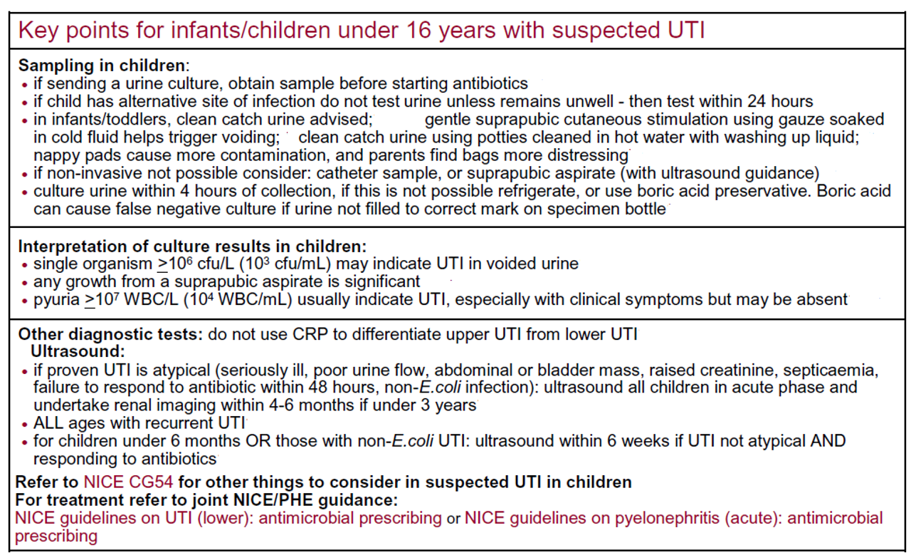Assessment and diagnosis of possible UTI in a child – GPnotebook