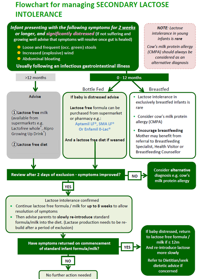 Lactose intolerance: Management – GPnotebook
