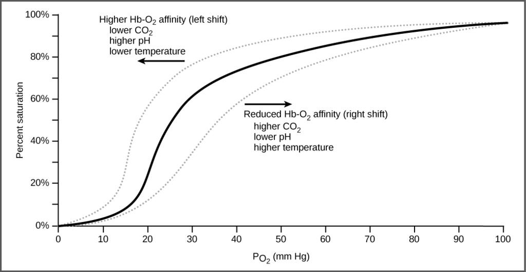 Oxygen-haemoglobin dissociation curve – GPnotebook