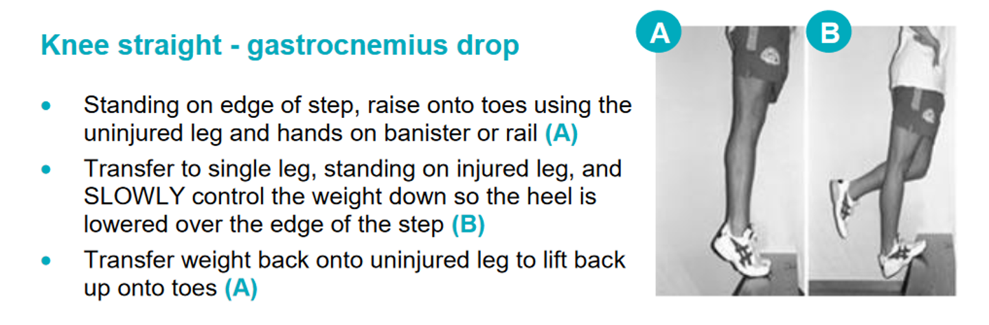 Protocole d'Alfredson pour le traitement de la tendinose d'Achille ...