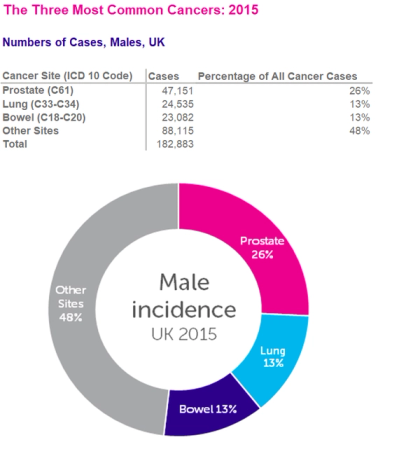 Ten most common male cancers (cancer) in an adult man – Primary Care ...