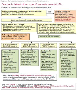 Urinary tract infection (UTI) in children: Investigations of a possible ...